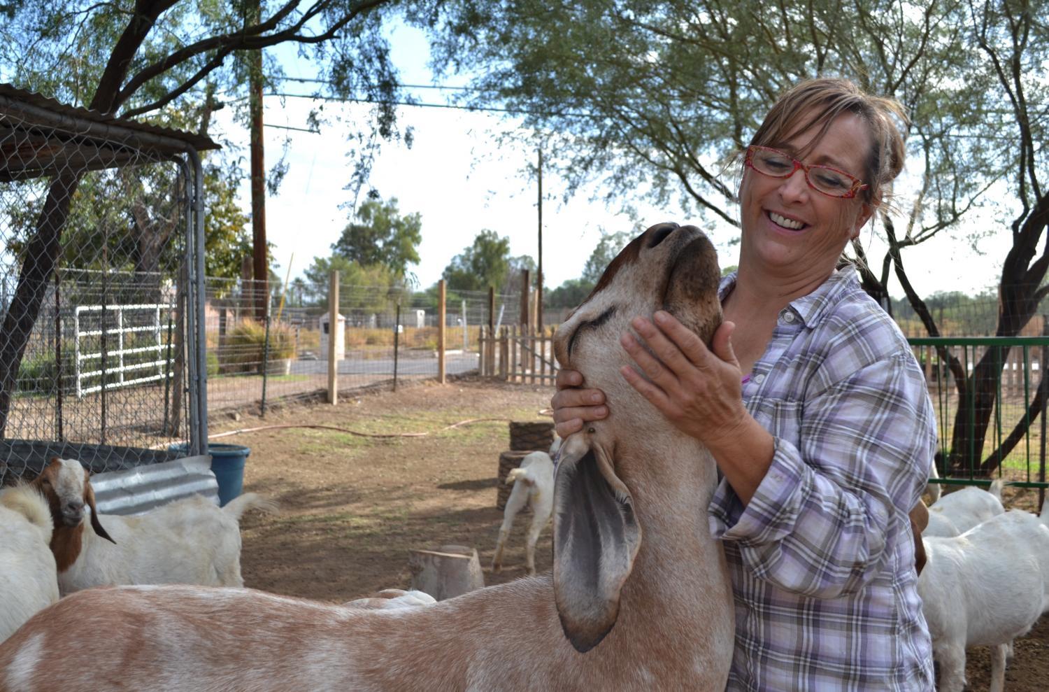 A Phoenix farm is making renewable energy while also providing shade ...